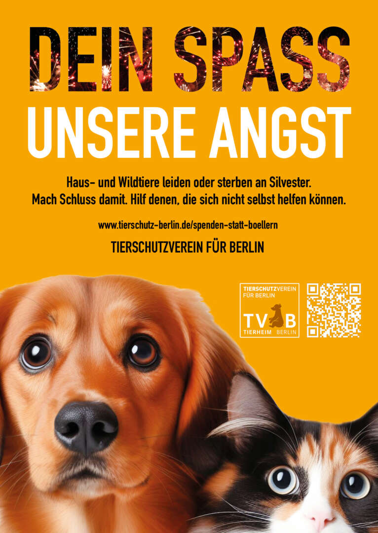 „Dein Spaß, unsere Angst“ – Tierschutzverein für Berlin startet Anti ...